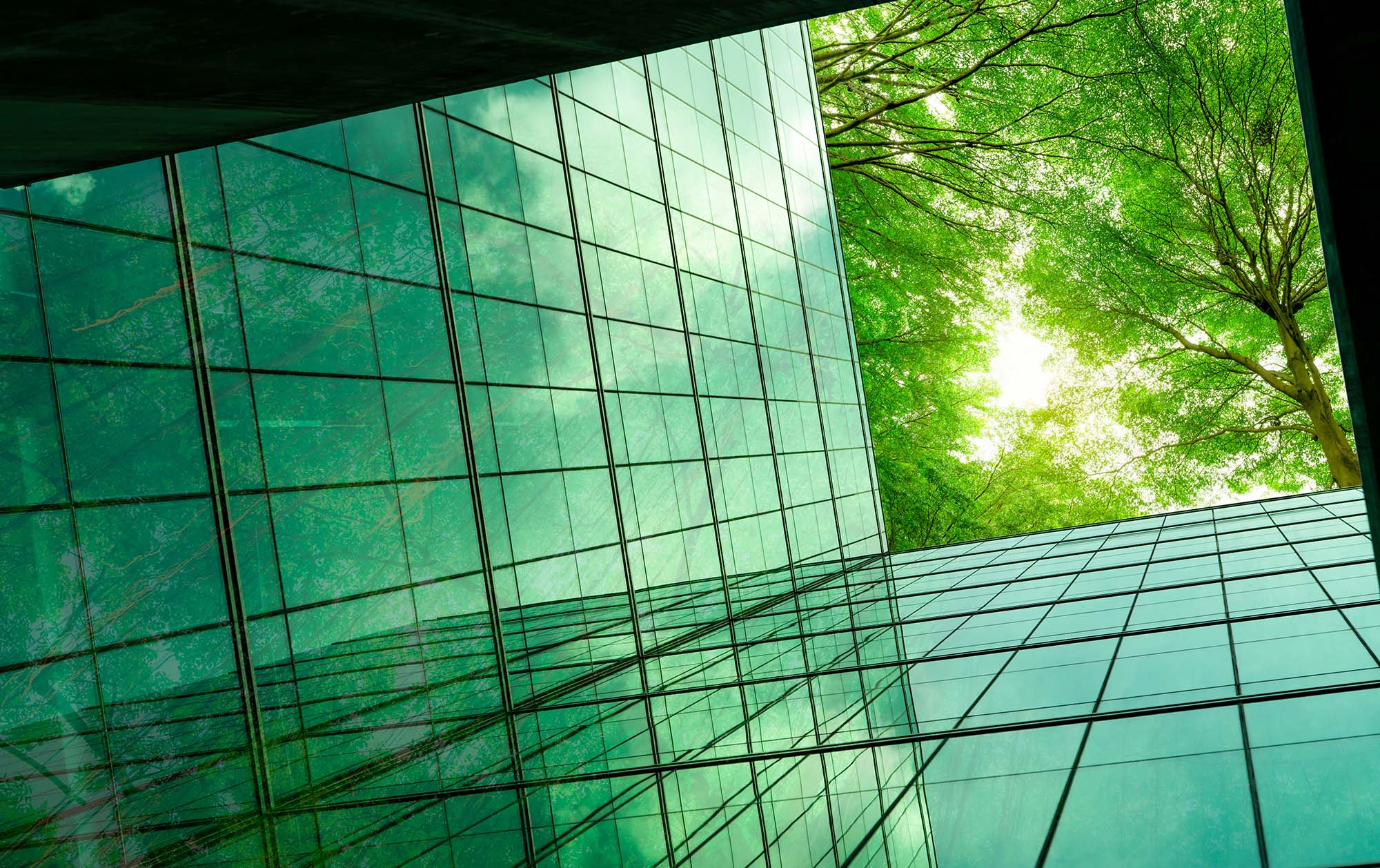 What the 2026 National Climate Change Risk Assessment reveals about New ...
