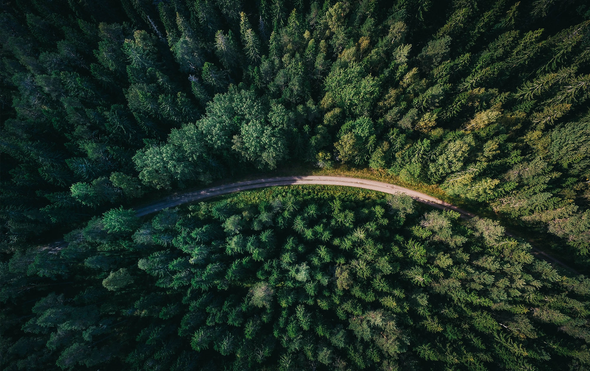 Changes announced to commercial forestry regulations