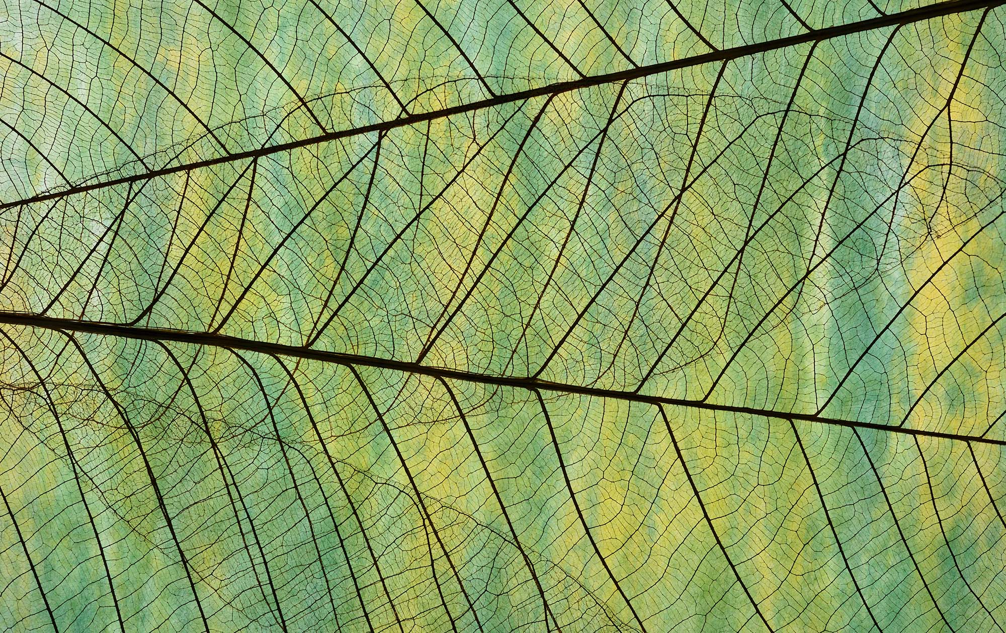 Climate statements: Amendments to NZ CS 2 and NZ SAE 1