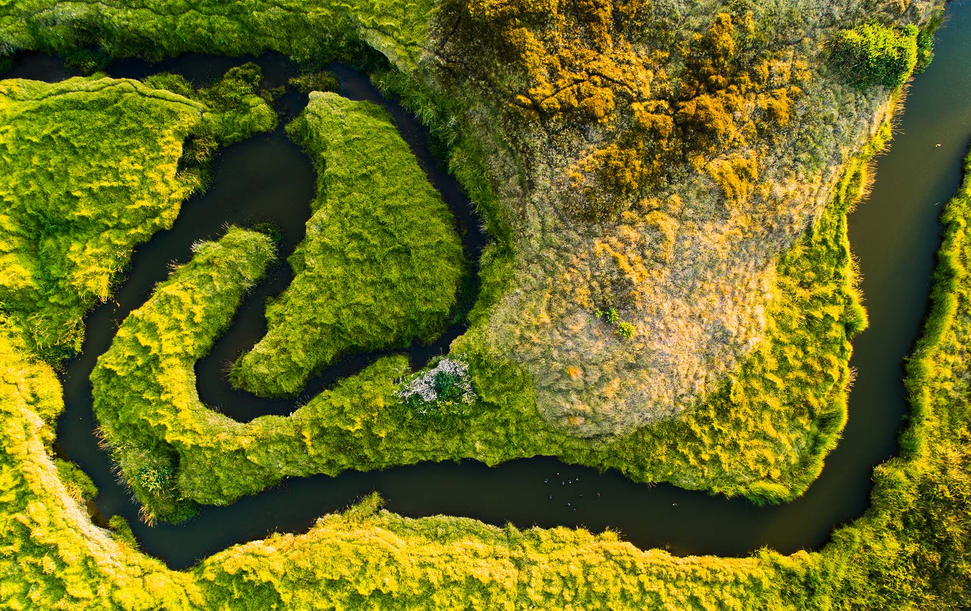 “Local Water Done Well” starts to take shape
