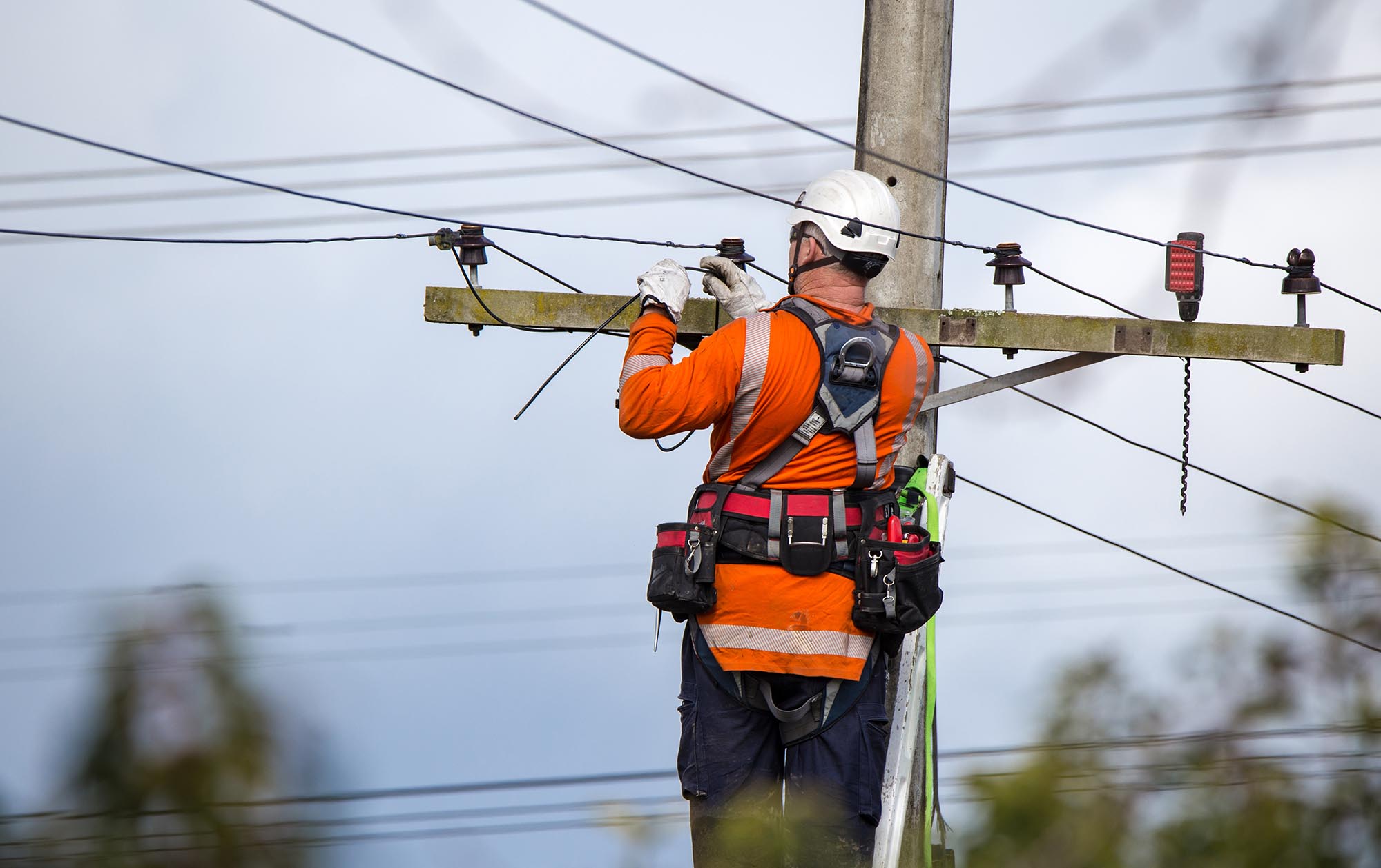 Building our energy future: How Northpower will meet the challenge