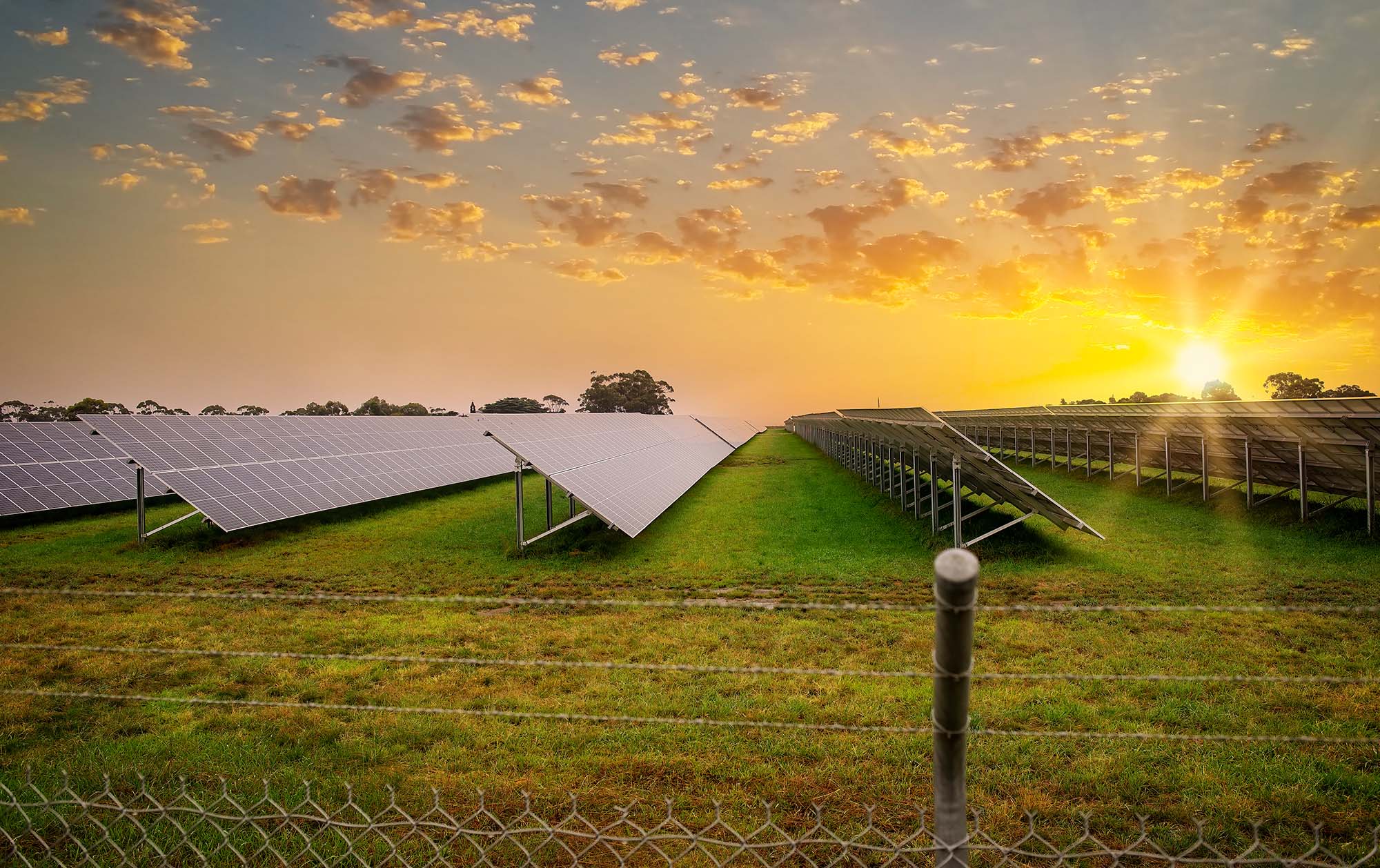 Scaling up solar: What New Zealand can learn from Australia's experience