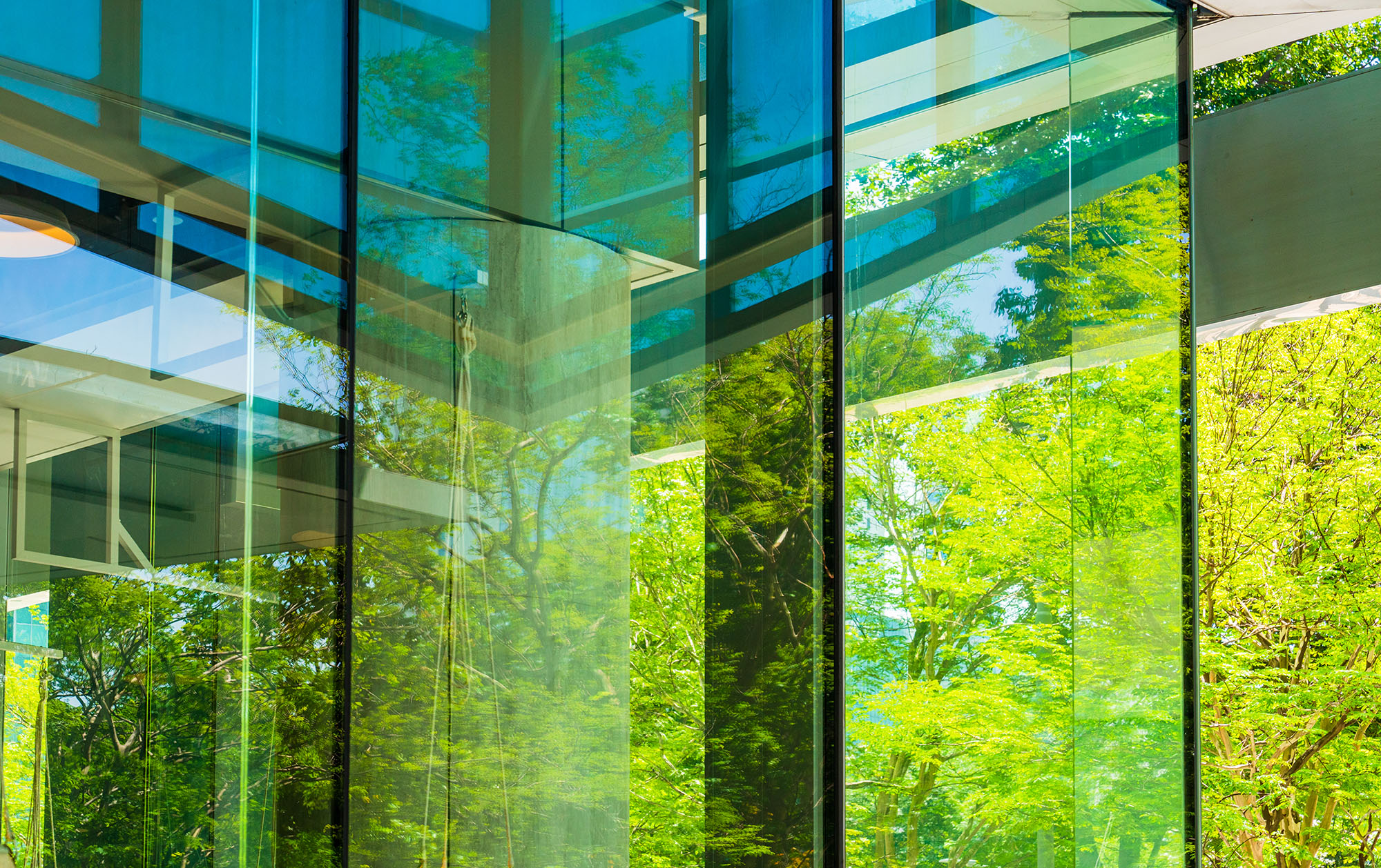 Greenwashing penalty action win for ASIC