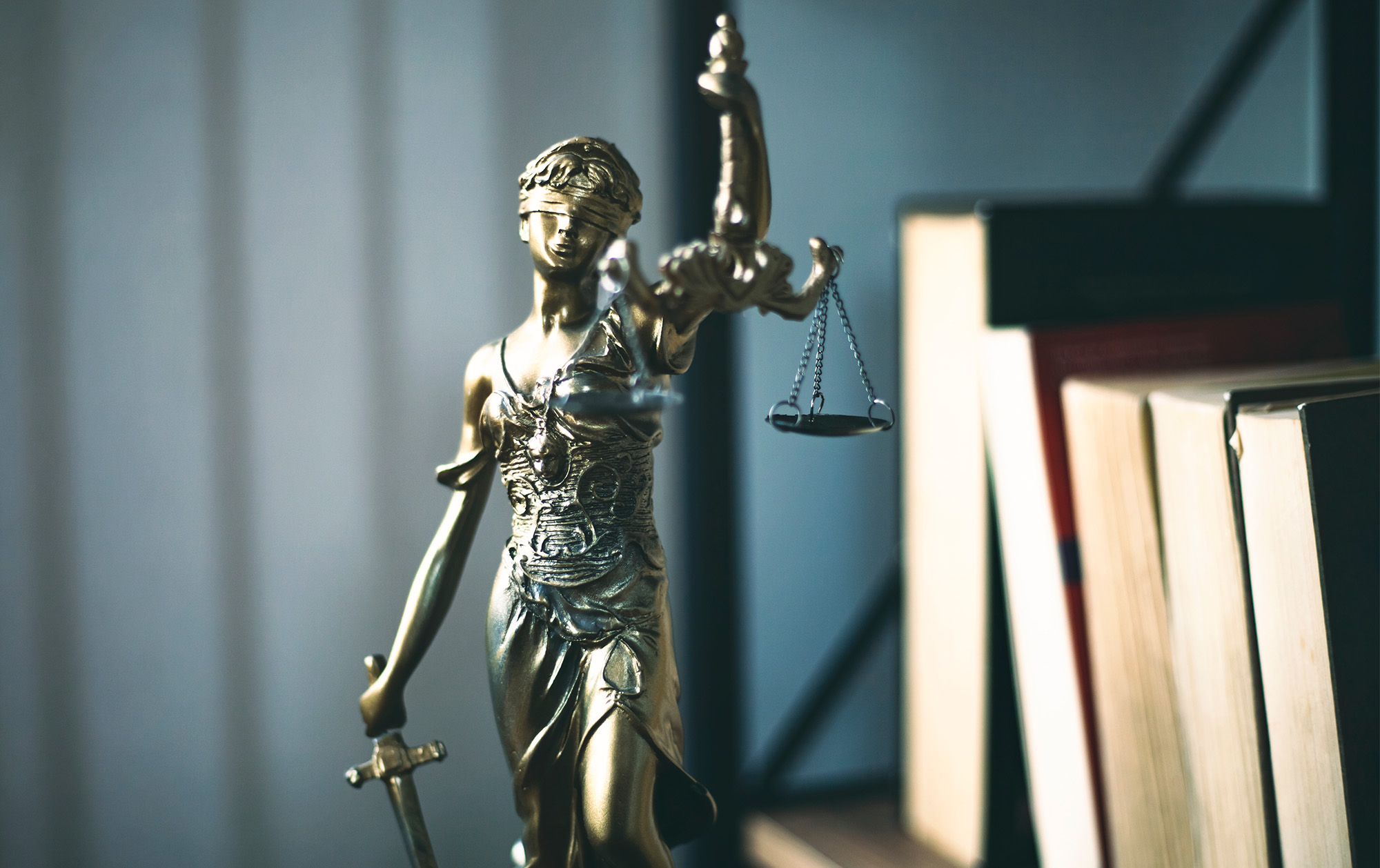 Judicial review in the spotlight