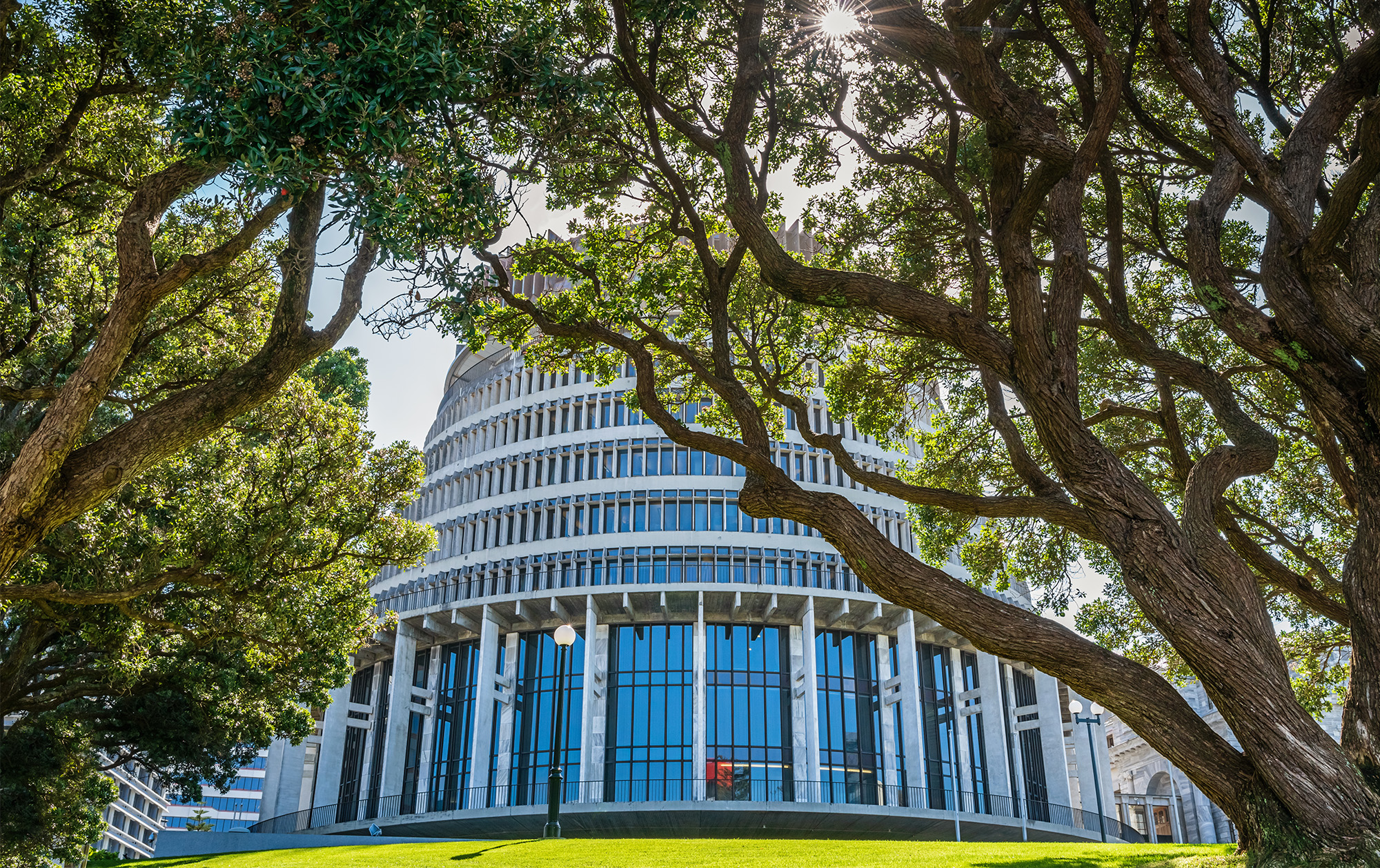 Government and public sector